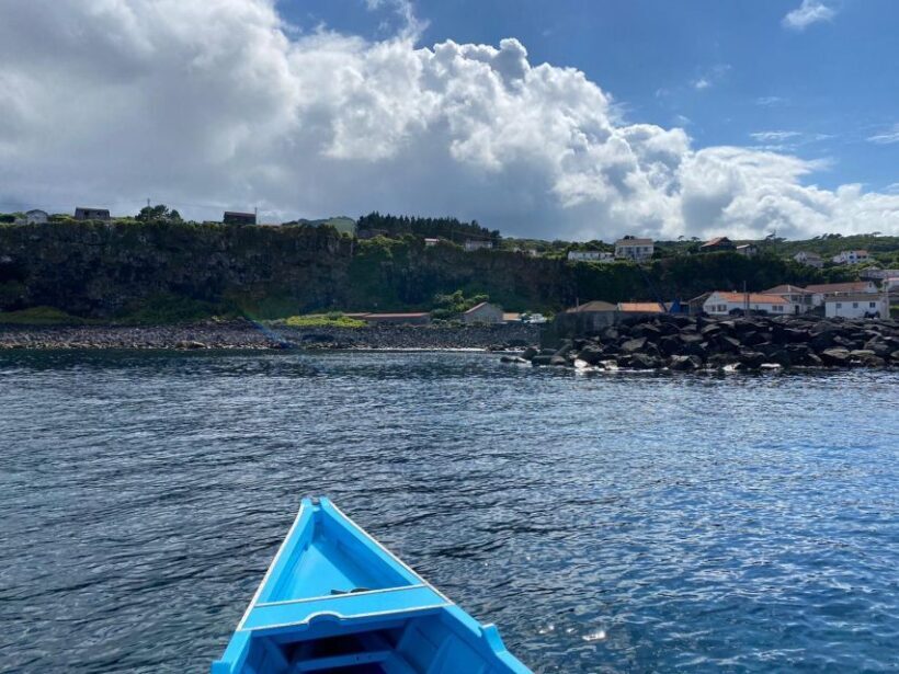 Memória Baleeira - Unforgetable Ride in the waters of Pico - FAQ