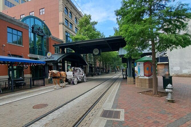 Memphis City Highlights: Private Guided Sightseeing Tour - The Experience: What Travelers Say