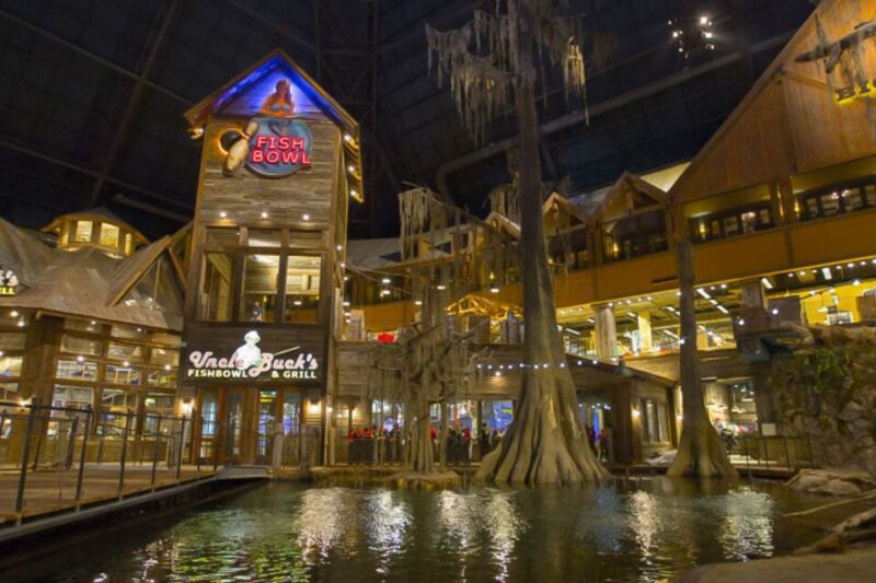 Memphis: Hop-On Hop-Off Sightseeing Bus Tour - What Travelers Say: Authentic Insights