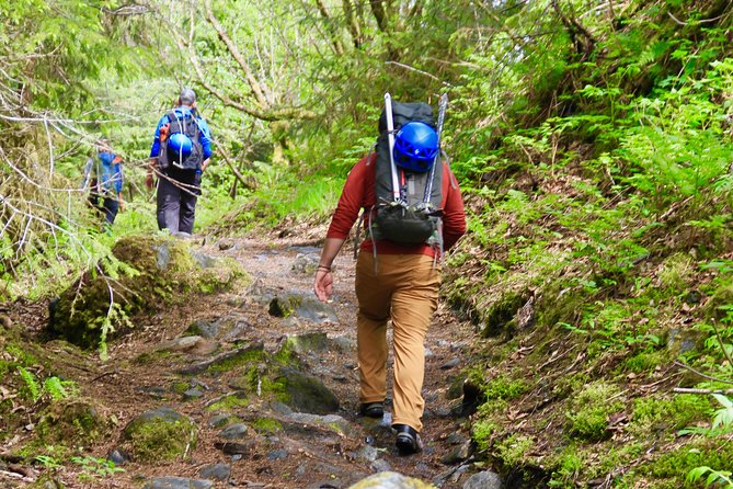 Mendenhall Glacier Guided Hike Juneau - Health and Safety Considerations