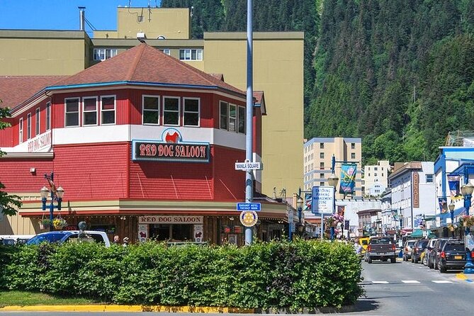 Mendenhall Glacier Trolley Tour - Experience During the Tour