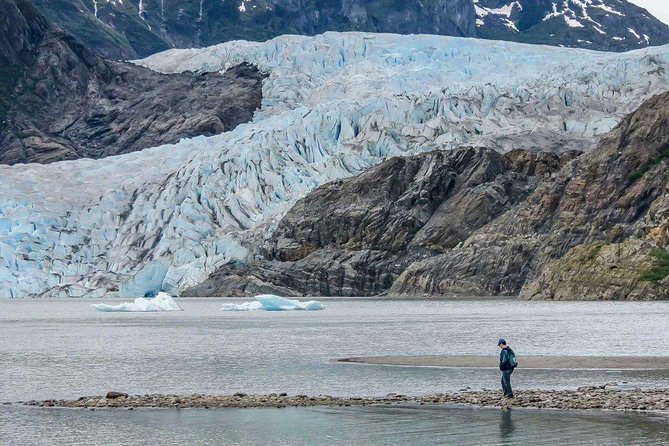 Mendenhall Glacier Visitor Center and Ultimate Whale Watch Combo - The Sum Up: Who Should Consider This Tour?