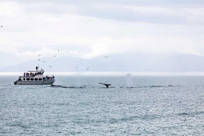 Mendenhall Glacier Visitor Center and Ultimate Whale Watch Combo - FAQ