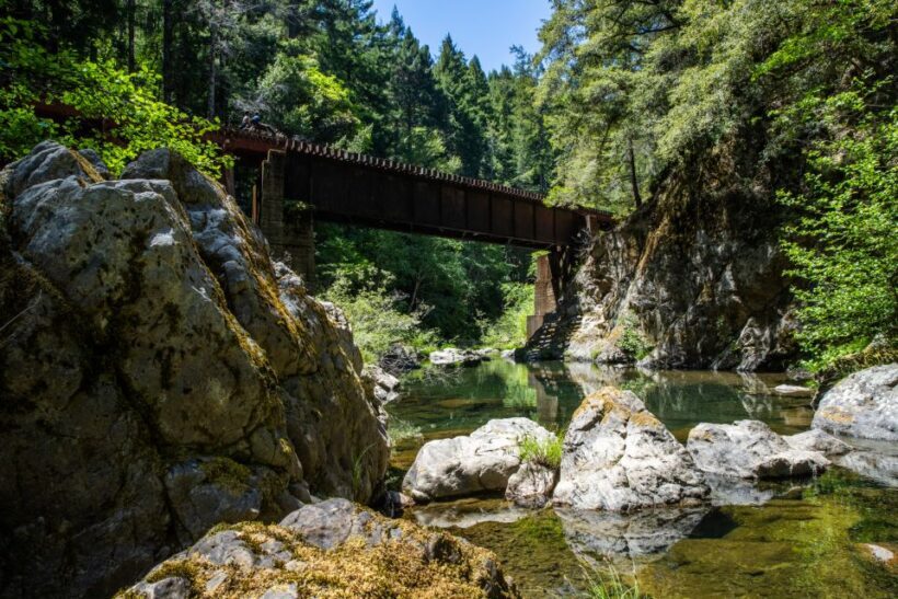 Mendocino County: Pudding Creek Railbikes - Who Will Love This Tour?