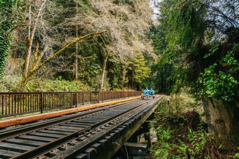 Mendocino County: Pudding Creek Railbikes - Final Thoughts