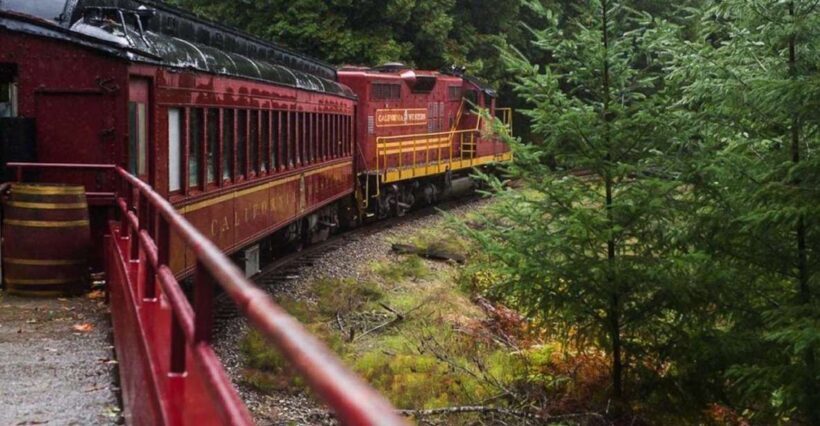Mendocino County: Skunk Train Wolf Tree Turn Train Ride - The Experience: What to Expect on the Skunk Train Wolf Tree Turn Ride