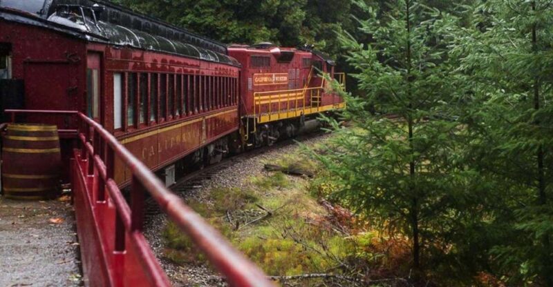 Mendocino County: Skunk Train Wolf Tree Turn Train Ride - Who Will Love This Experience?