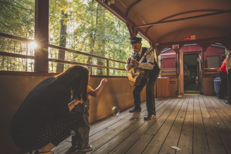 Mendocino County: Skunk Train Wolf Tree Turn Train Ride - Final Thoughts