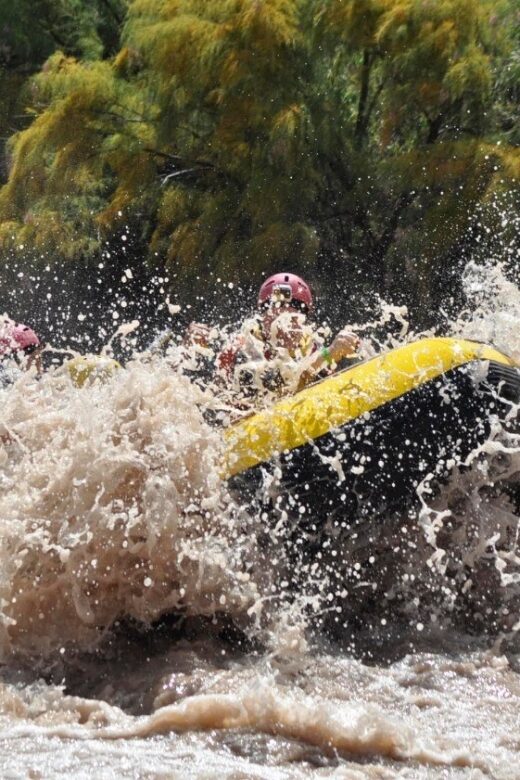 Mendoza: 12-KM River Rafting Tour in the Andes - Final Thoughts