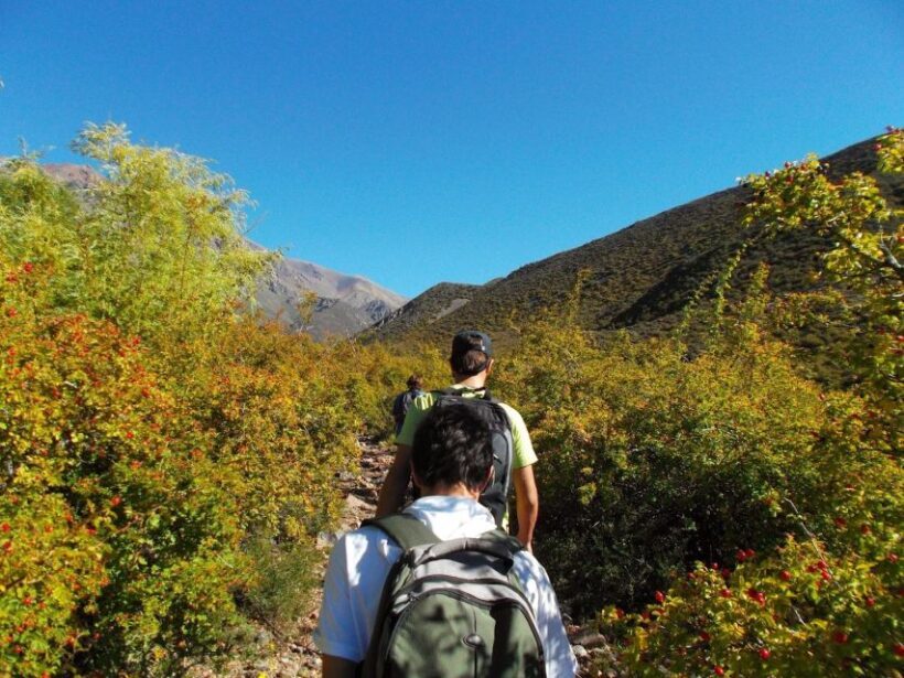 Mendoza: 4-Hour Mountain Trekking With Lunch - Key Points