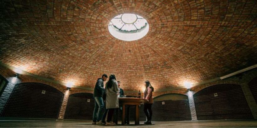 Mendoza: Borges Labyrinth: Lunch, Literary Workshop & Winery - Key Points