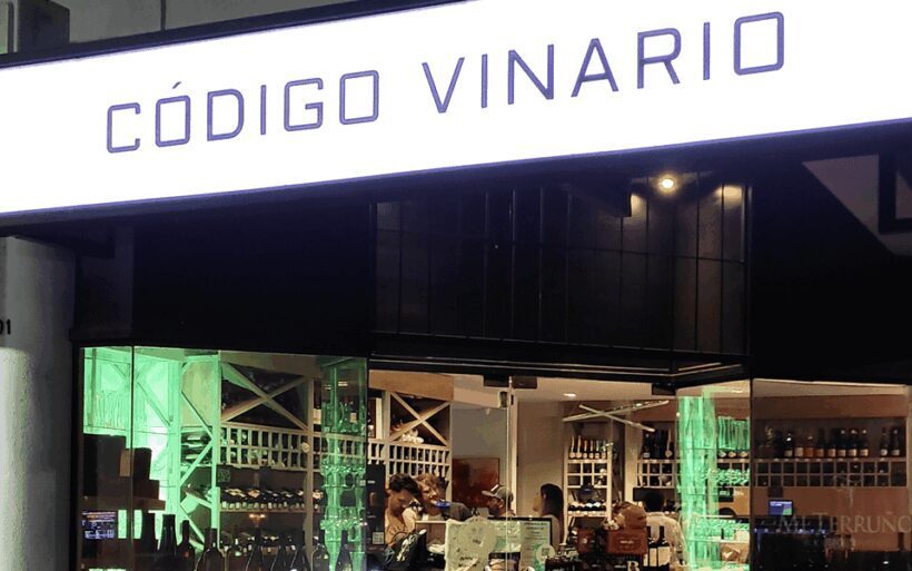 Mendoza: Classic Wine Tasting - A Closer Look at the Experience