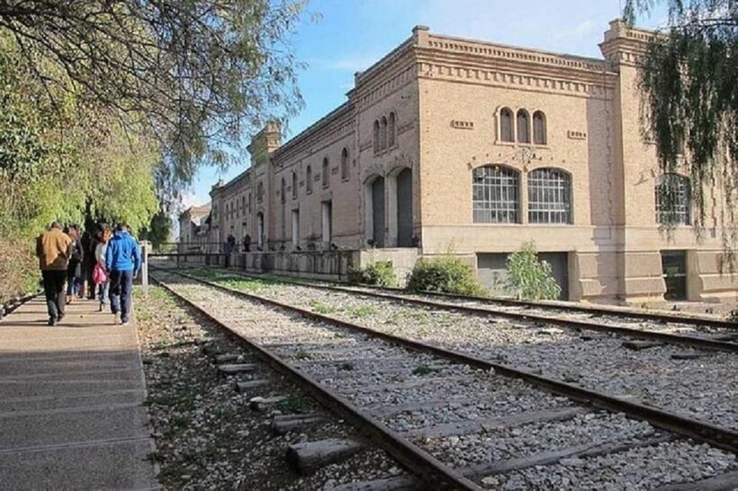 Mendoza: Full day tour visit and tasting - 3 wineries - Who Will Appreciate This Tour