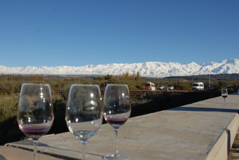 Mendoza: Full Day Wine Tour with 3 Course Lunch - The Sum Up