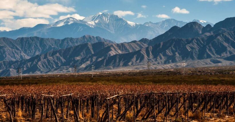 Mendoza: Full Day Wine Tour with 3 Course Lunch - Frequently Asked Questions