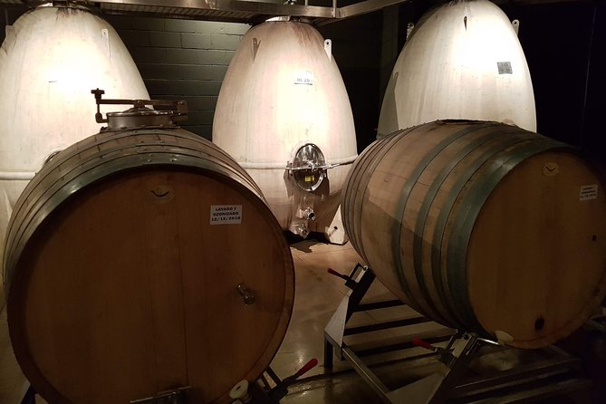 Mendoza Hop-On Hop-Off Wine Tour - Key Points