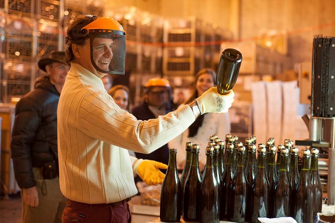 Mendoza Hop-On Hop-Off Wine Tour - Flexibility and Customization