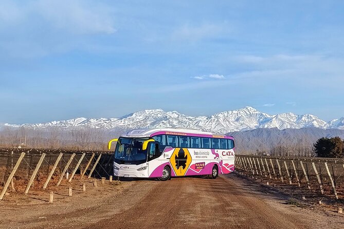 Mendoza Hop-On Hop-Off Wine Tour - Customer Feedback and Reviews
