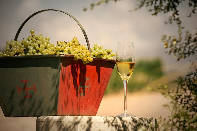 Mendoza Hop-On Hop-Off Wine Tour - Enhancing Your Wine Tasting Experience