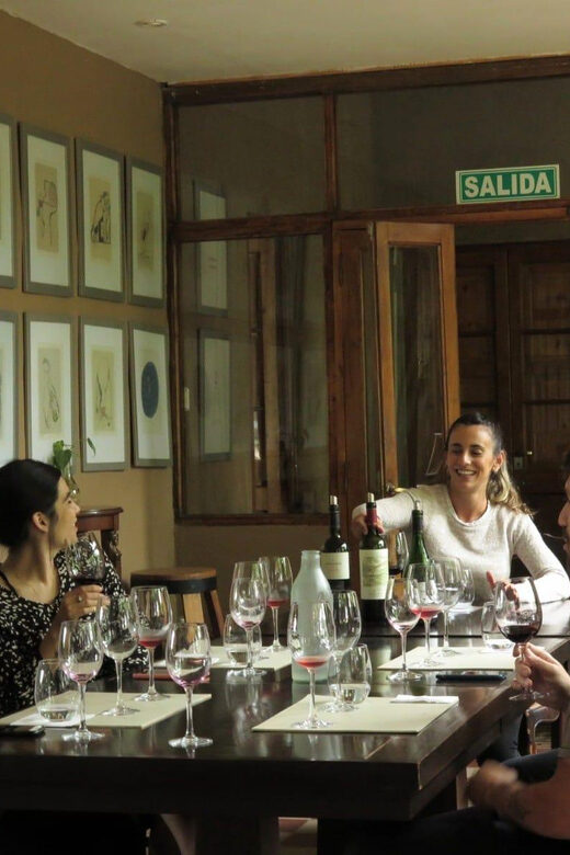 Mendoza: Wine Tasting Tour with Lunch and Private Transport - A Balanced Look at the Mendoza Wine Tasting Tour
