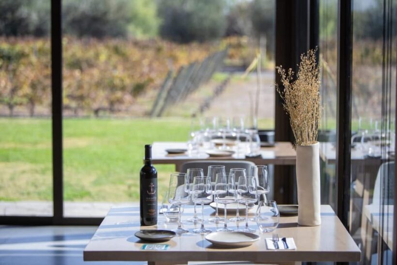 Mendoza: Wine Tasting Tour with Lunch and Private Transport - Who Will Love This Experience?