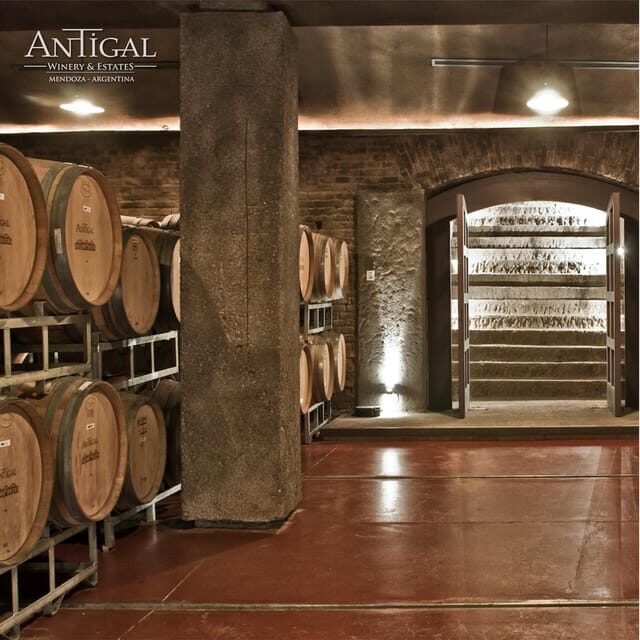 Mendoza: Wine Tasting Tour with Lunch and Private Transport - FAQ