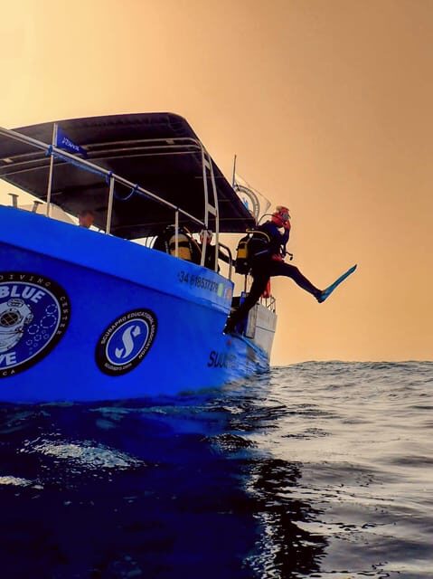 Menorca: Baptism Scuba Diving in Marine Reserve - Authentic Feedback from Participants