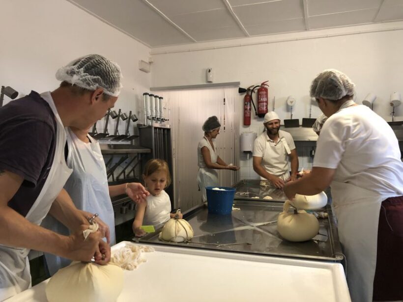 Menorca: Cheesemaking and Farm-Fresh Product Tasting - Exploring Menorca’s Charm Through Cheesemaking and Farm-Fresh Tasting
