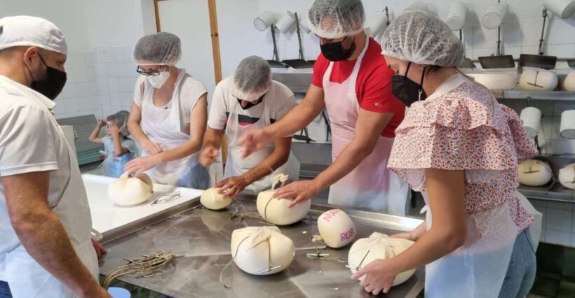 Menorca: Cheesemaking and Farm-Fresh Product Tasting - Key Points