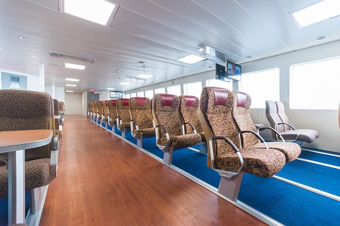 Menorca full-day Tour from Mallorca - The Sum Up: Who Should Consider This Tour?