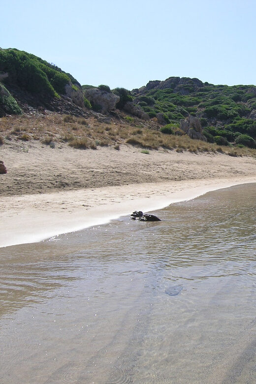 Menorca: Taxi-Boat from Es Grau to Colom Island - Authentic Insights from Travelers
