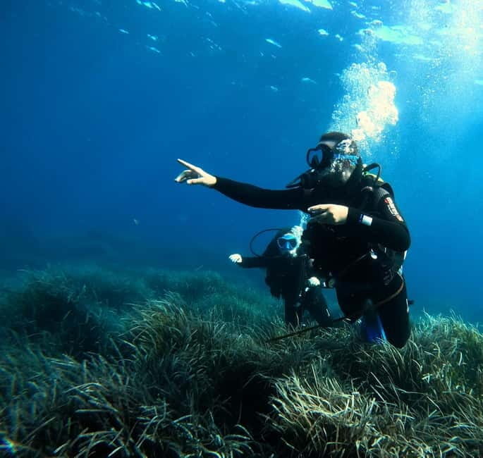 Menorca: Try scuba diving in Cala'n Bosch -BLUEWATER MENORCA - Who Will Enjoy This Tour?