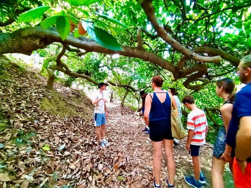 Menton: Citrus Farm, Old-Town & Botanic Full Day Tour - Pricing and Value