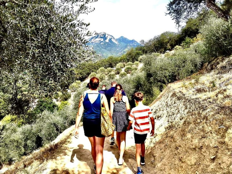 Menton: Citrus Farm, Old-Town & Botanic Full Day Tour - Why This Tour Works