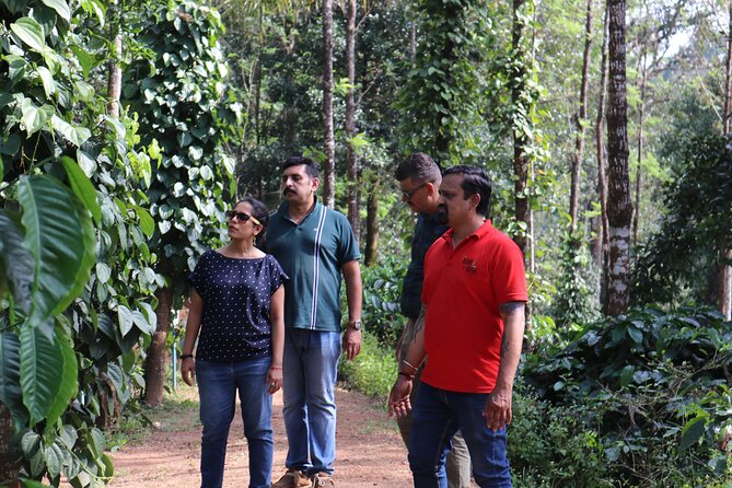 Mercara Gold Coorg Coffee and Spice Estate Tour - Practical Details: What You Need to Know
