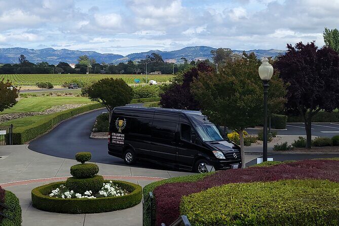 Mercedes-Benz Sprinter Wine Tasting Experience (chlid seat avil.) - Final Thoughts