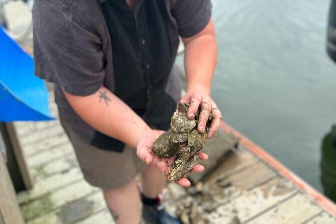 Mere Point Oyster Farm Tour - An In-Depth Look at the Mere Point Oyster Farm Tour