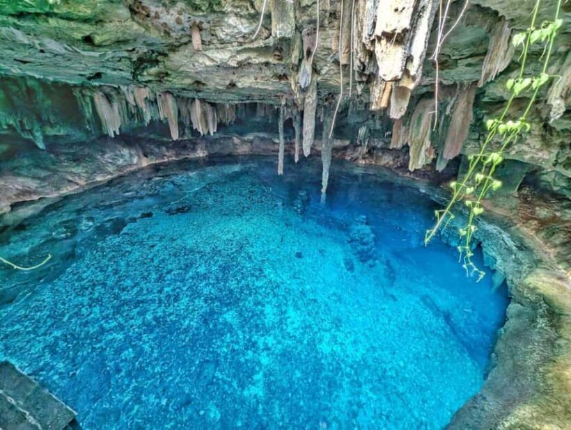 Mérida: 4 Majestic Cenotes Tour with Typical Lunch - Who Would Love This Tour?