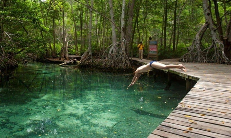 Merida: Celestun Boat Ride Mangrove Experience! Beach Time - Exploring Celestun: A Closer Look at the Experience