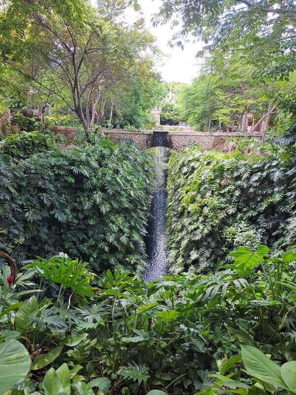Merida: Cenotes Hacienda Mucuyché And Uxmal - Authentic Experiences and Traveler Insights