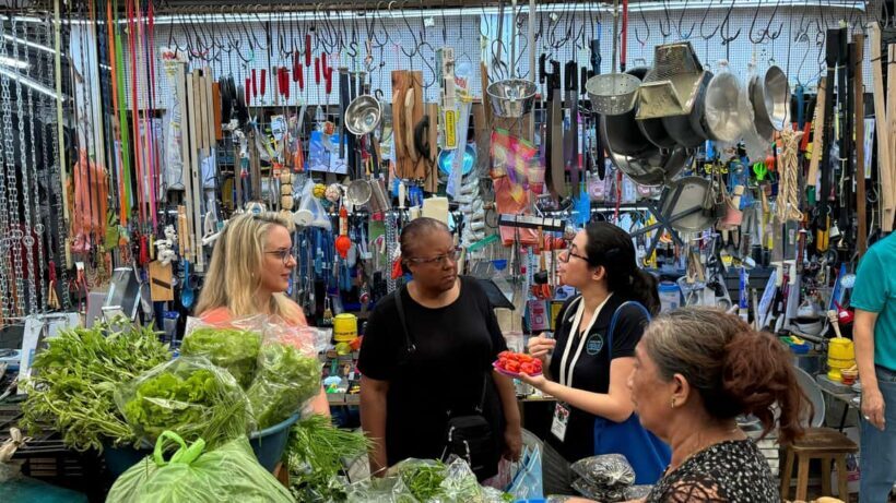 Mérida Cooking Class, taste of Yucatan - An In-Depth Look at the Mérida Cooking Class Experience