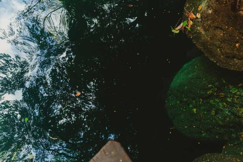 Merida: Explore With The One You Love, Day trip to Cenotes. - What the Tour Might Miss
