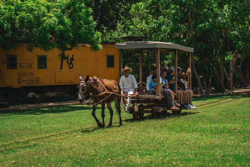 Merida: Hacienda Sotuta de Peon w/ Cenote & Henequen Tour - The Heritage of Hacienda Sotuta de Peón