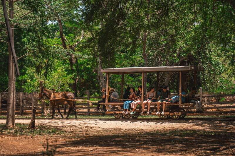 Merida: Hacienda Sotuta de Peon w/ Cenote & Henequen Tour - FAQ