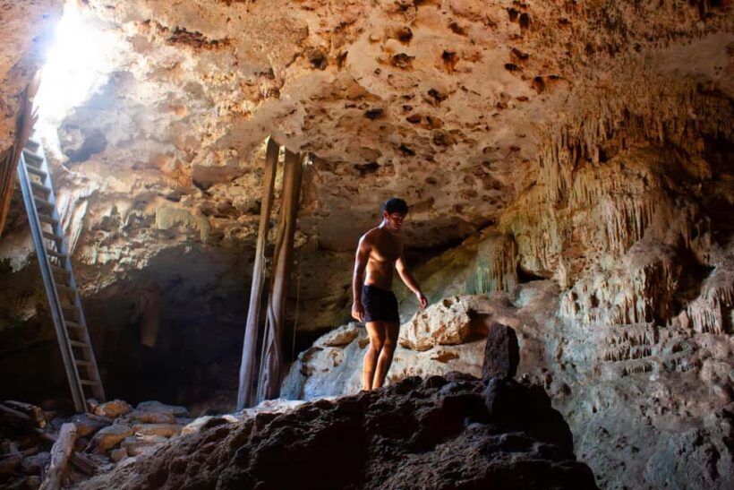 Mérida: Jungle & Cenotes Tour with Horseriding & Lunch - An In-Depth Look at the Mérida Jungle & Cenotes Tour