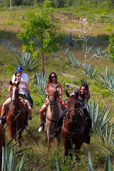 Mérida: Jungle & Cenotes Tour with Horseriding & Lunch - Final Thoughts