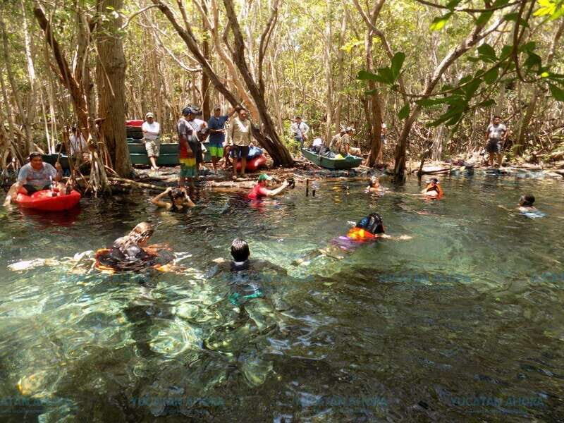 Merida: Kayaking and Bird Sanctuary in Sisal - Key Points