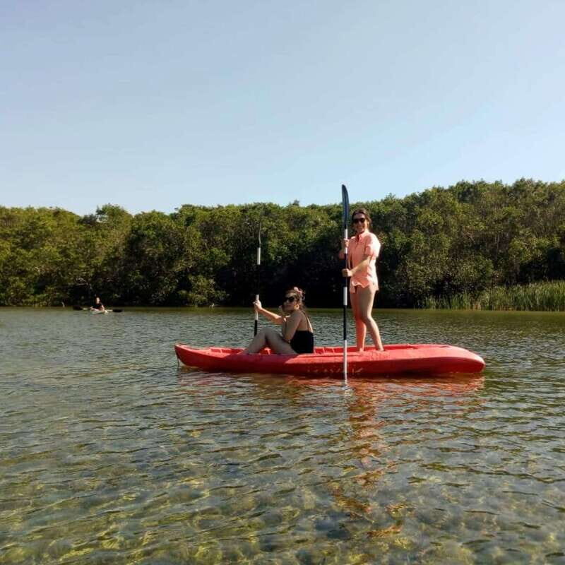 Merida: Kayaking and Bird Sanctuary in Sisal - Exploring the Journey: What to Expect