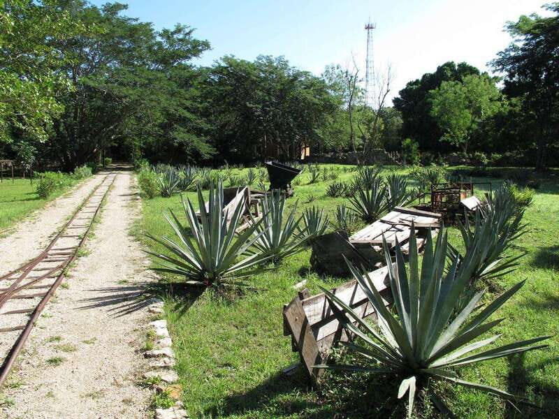 Merida: Yucatan Cenotes and Hacienda Full-Day Trip with Food - A Well-Structured Day for Curious Travelers