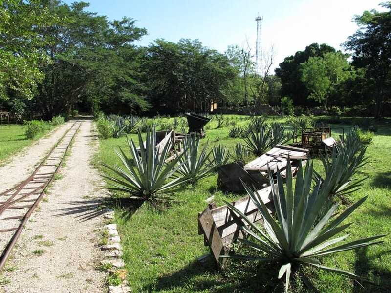 Merida: Yucatan Cenotes and Hacienda Full-Day Trip with Food - FAQ